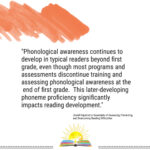 What is Orton-Gillingham Instruction and Is It Enough to Help ...